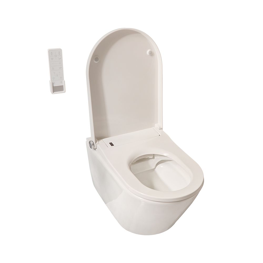 Milano Luxus - Wall Hung Japanese Bidet Toilet with Tall Wall Frame ...